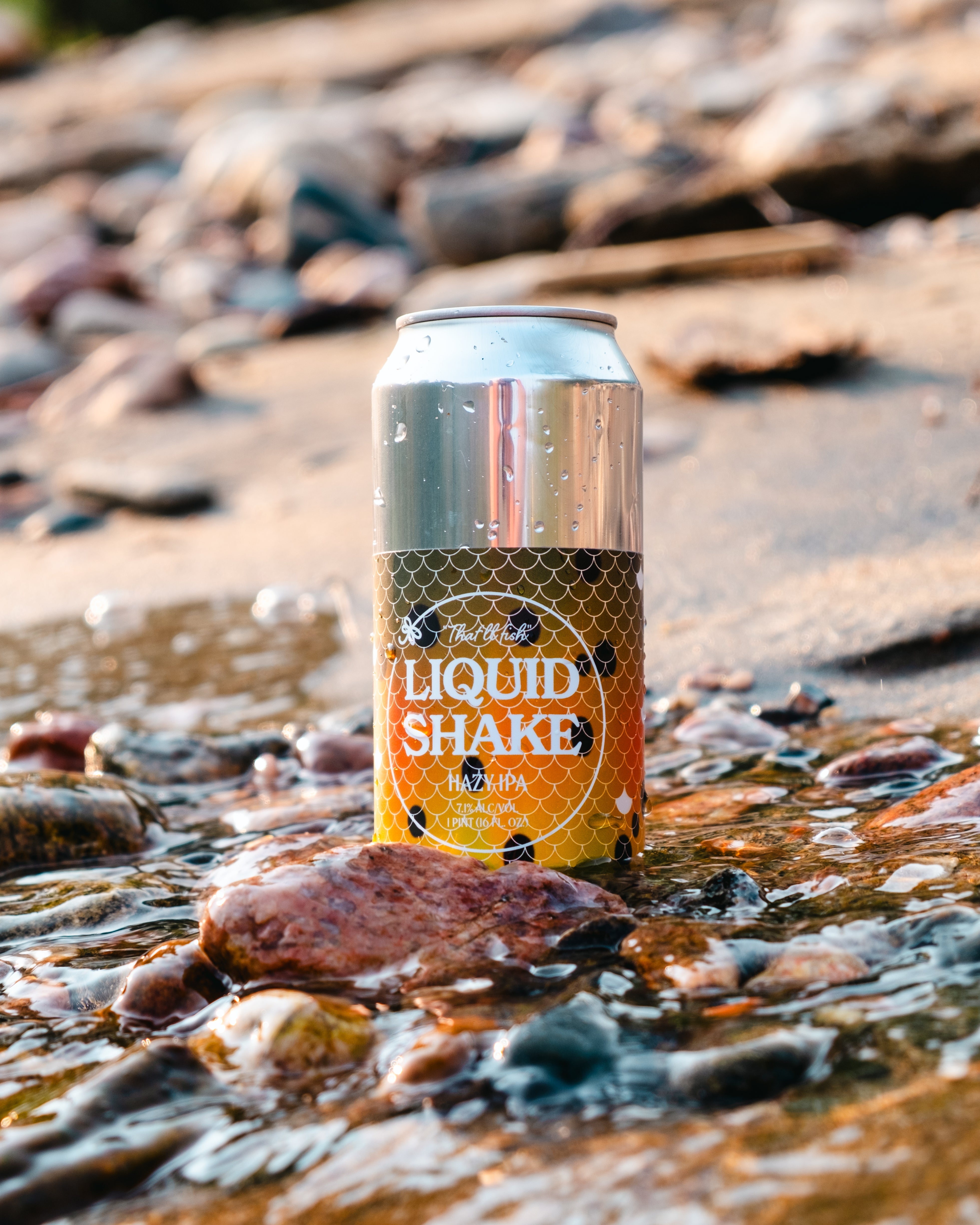 Liquid Shake Brew Collab with Hello Brewing – St. Peter's Fly Shop