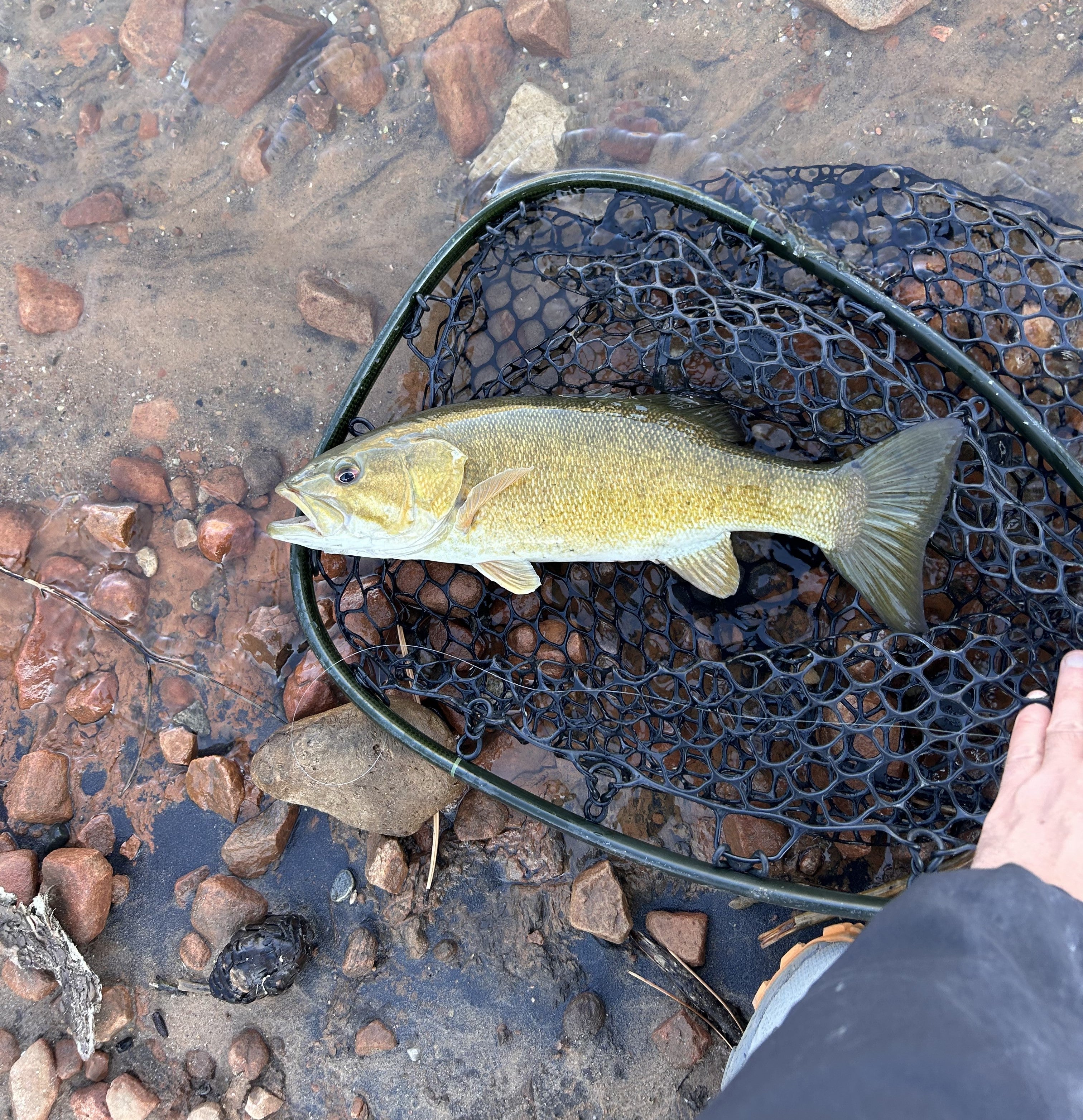 Fly Fishing Horsetooth Reservoir During Runoff with St. Peter’s Fly Sh ...