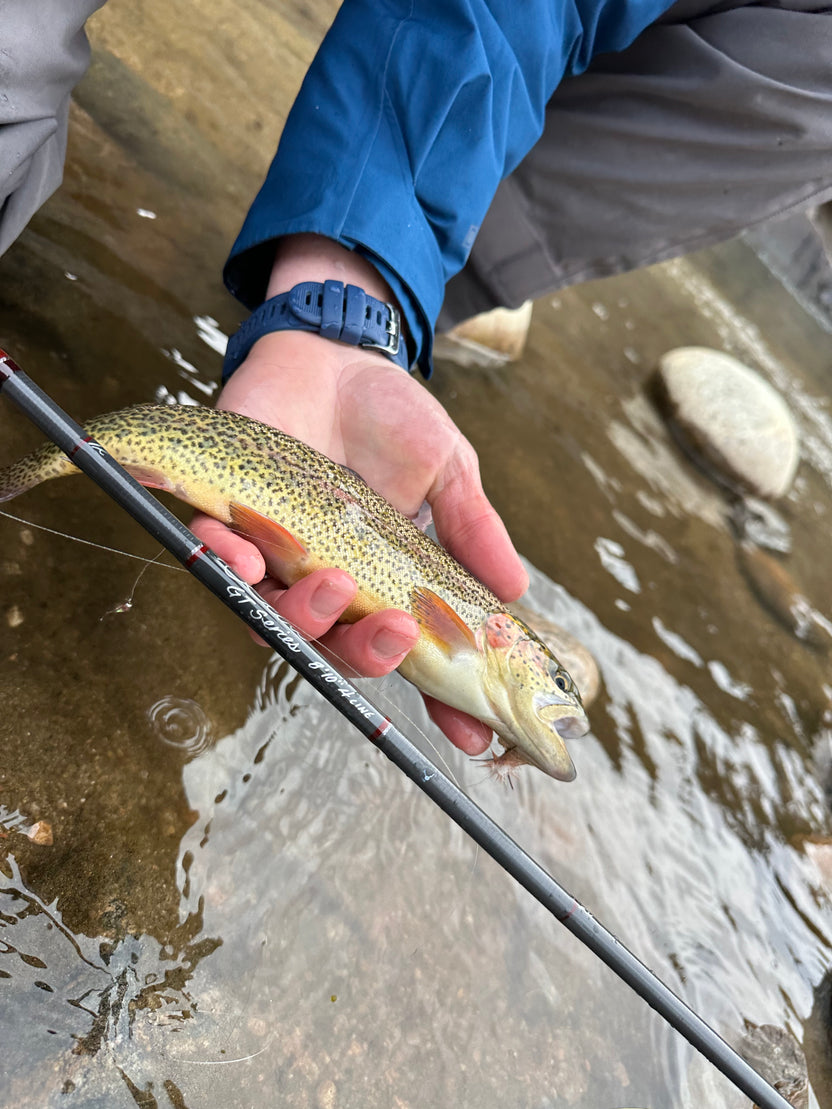 Introducing the New Scott GT Fly Rod – St. Peter's Fly Shop