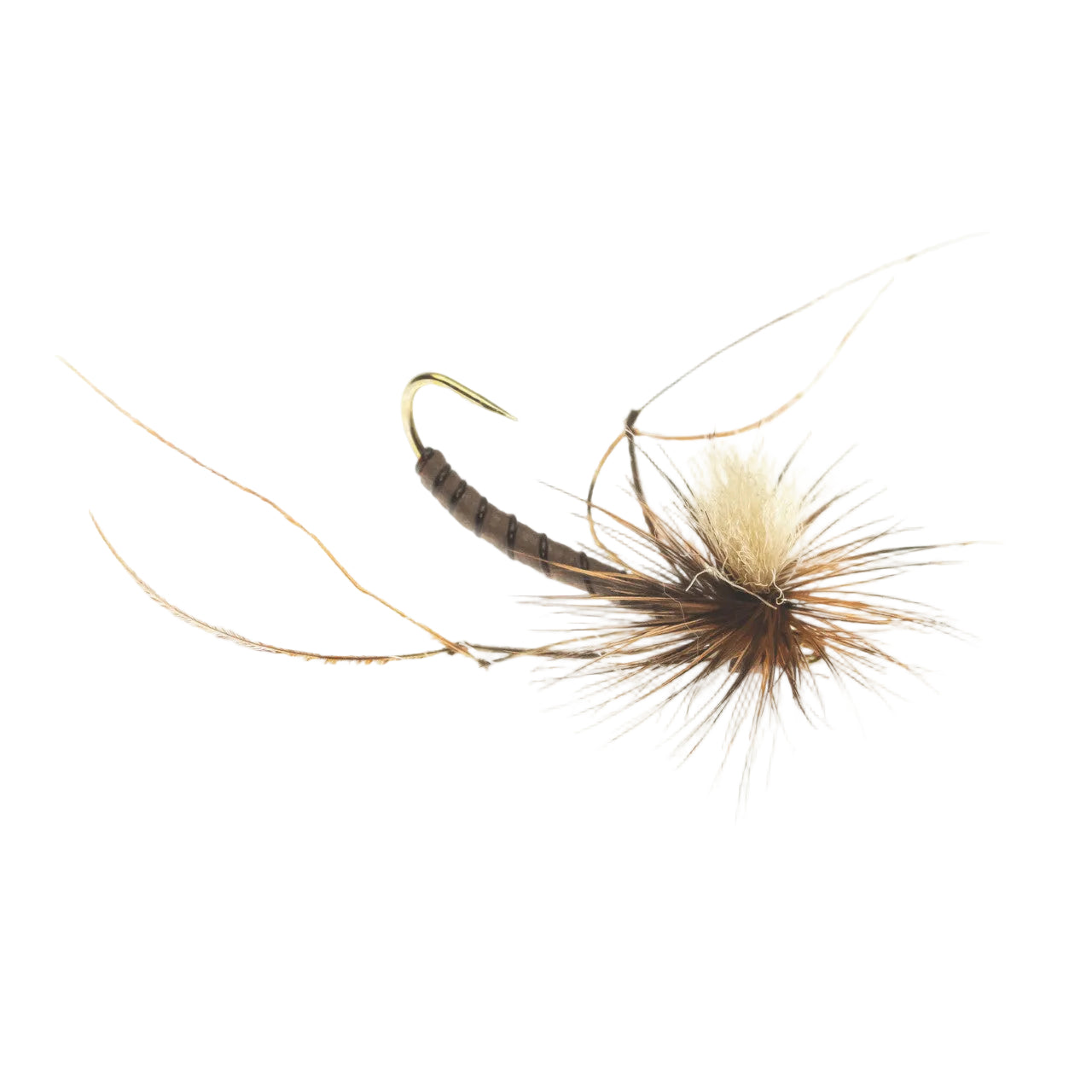 Cosmic Crane – St. Peter's Fly Shop