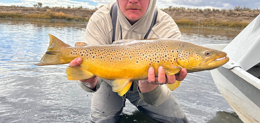 Mastering Fall Streamer Fishing: Lines, Flies, and Tactics for Excitin ...