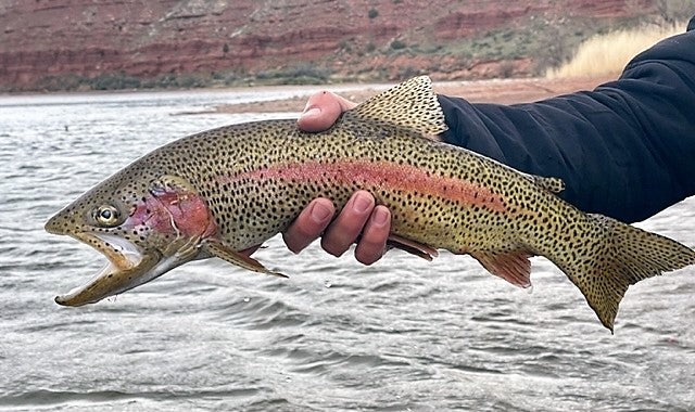 Grey Reef Guided Fly Fishing – St. Peter's Fly Shop