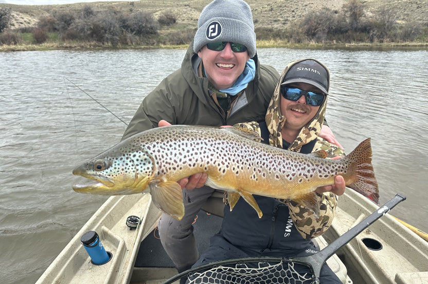 Mastering Fall Streamer Fishing: Lines, Flies, and Tactics for Excitin ...