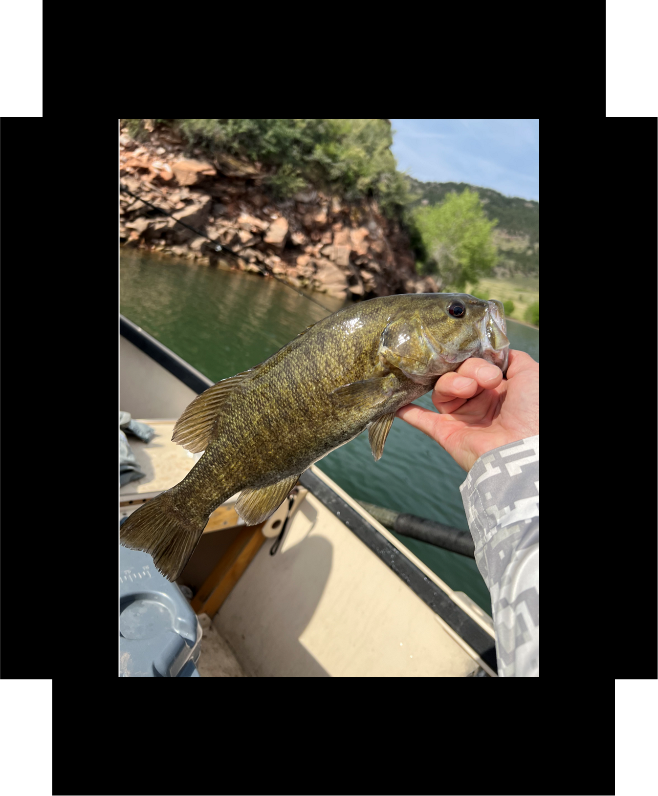 Horsetooth Fishing Report – St. Peter's Fly Shop