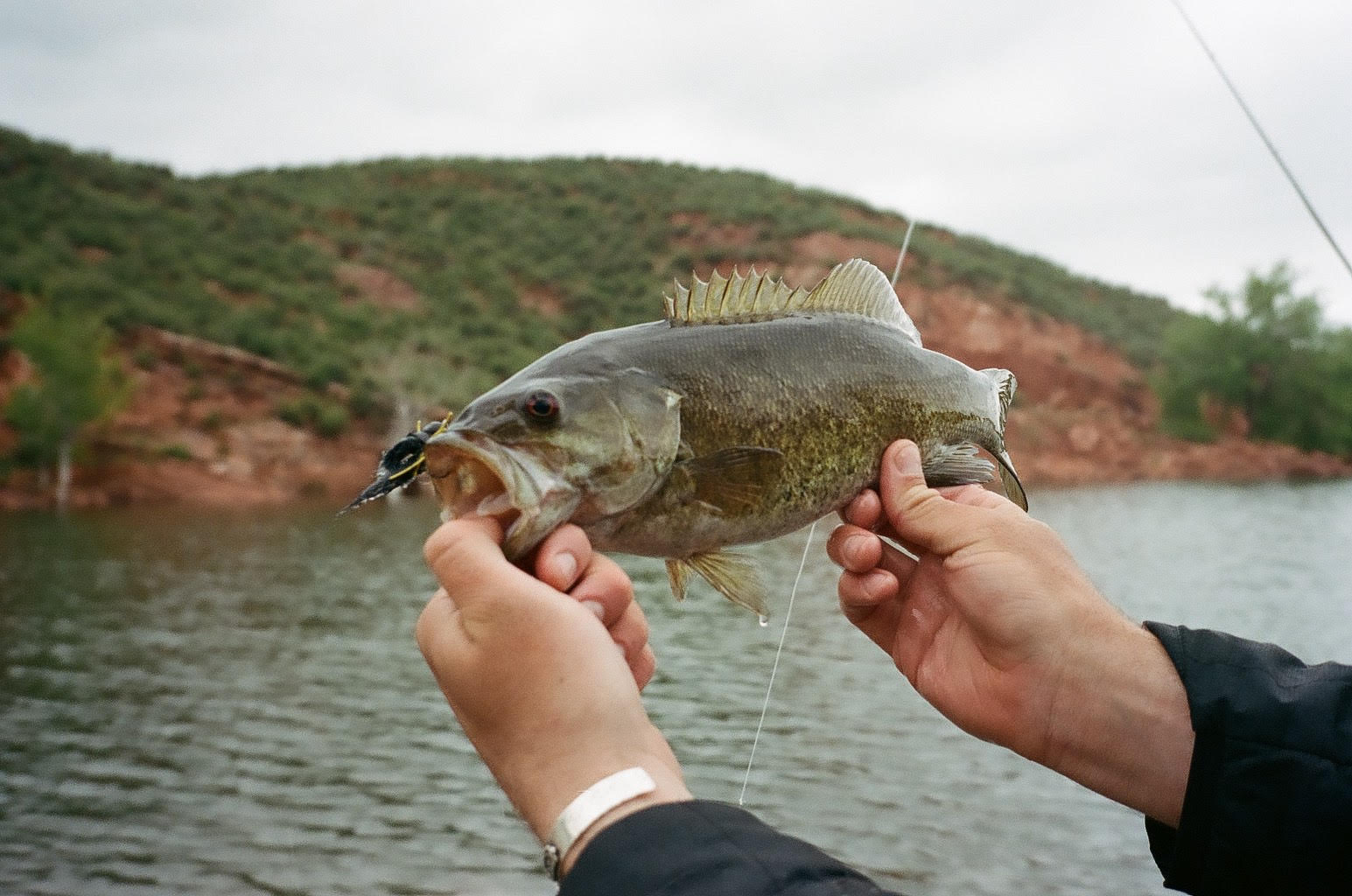 Horsetooth Reservoir Guided Fly Fishing – St. Peter's Fly Shop
